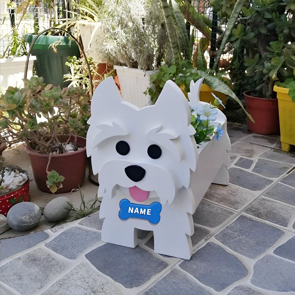 Best Sellers Planter – Petwithhome.com