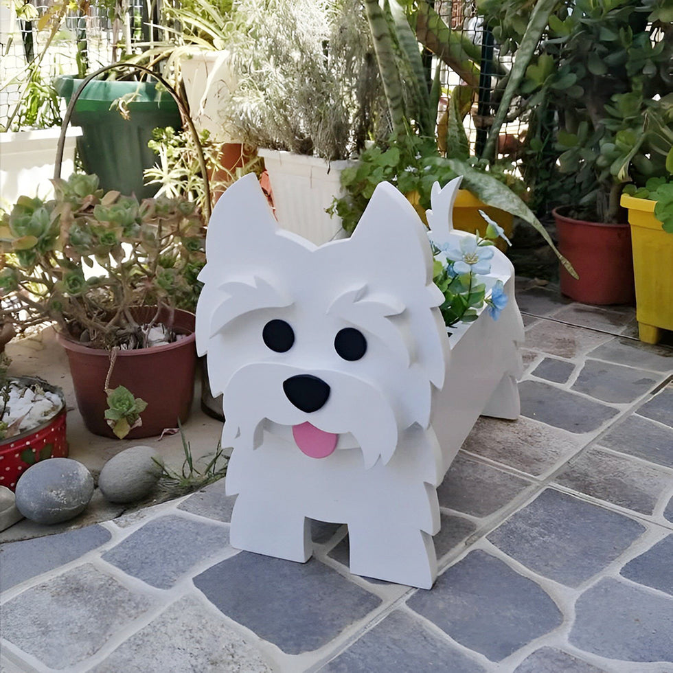 Best Sellers Planter – Petwithhome.com